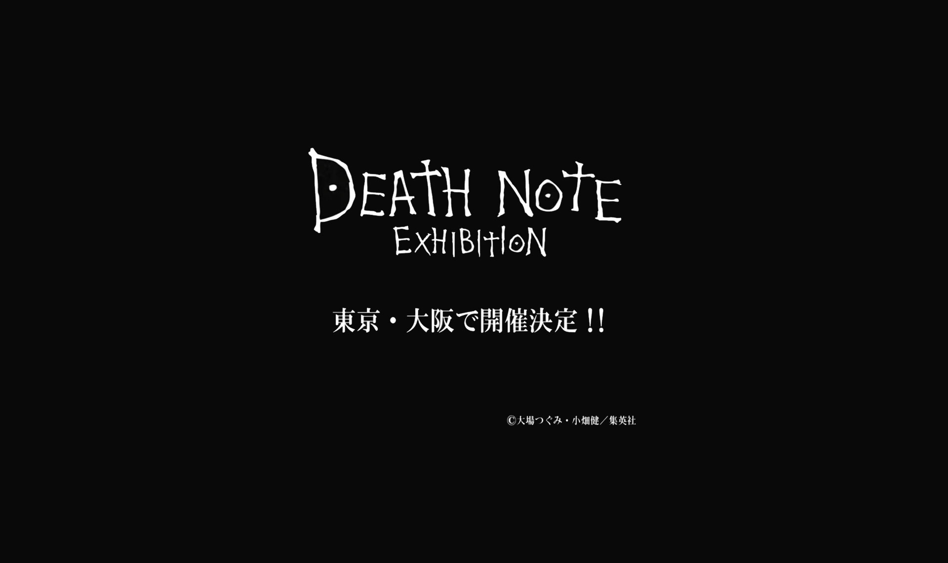 Marcas & Collabs - Sugar Punch Clothing